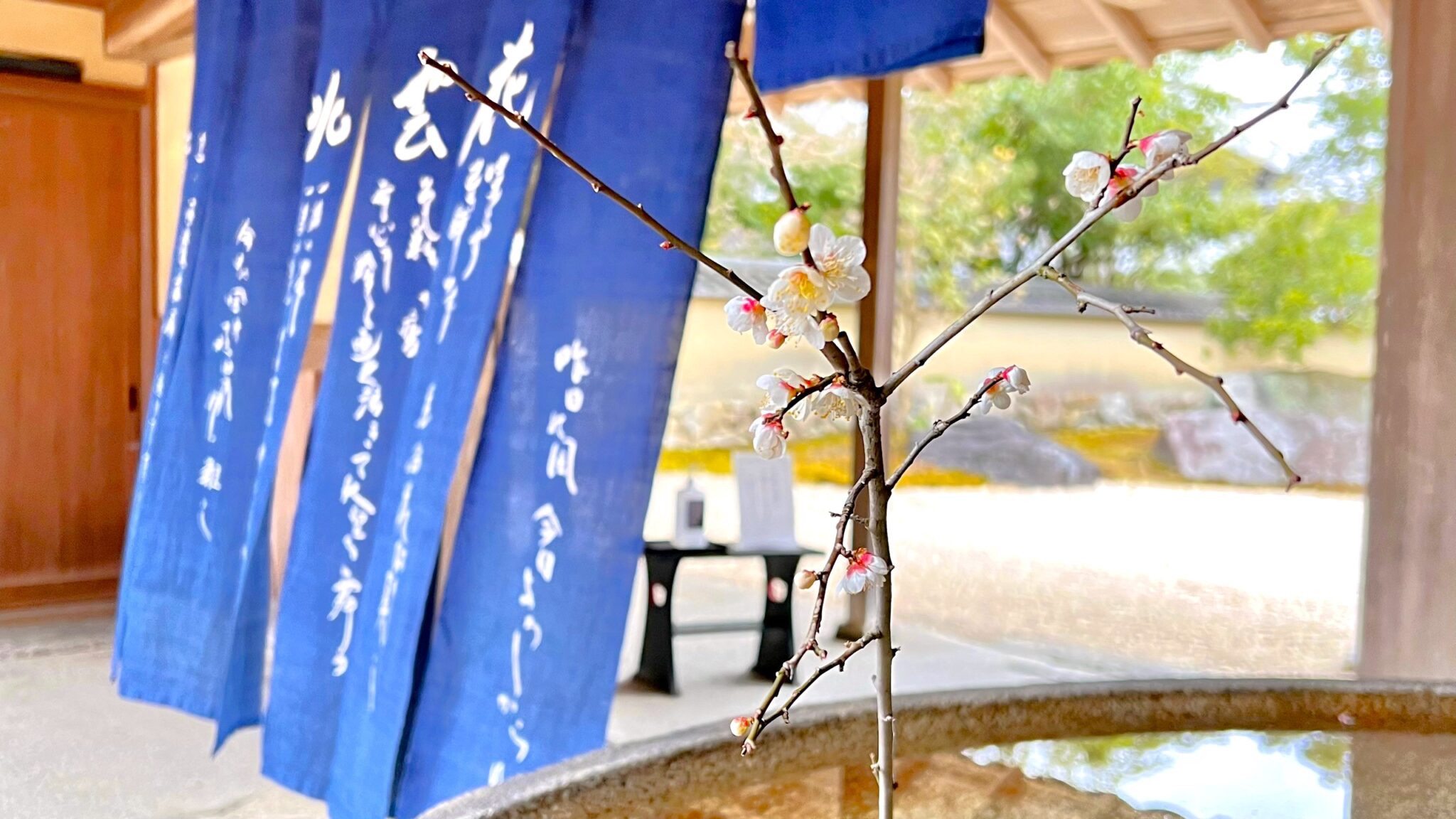 花の宴 梅まつり2025｜叶匠壽庵「寿長生の郷」の限定商品実食レポや駐車場情報も解説 | COCO ii TOCO ~ココイイトコ~