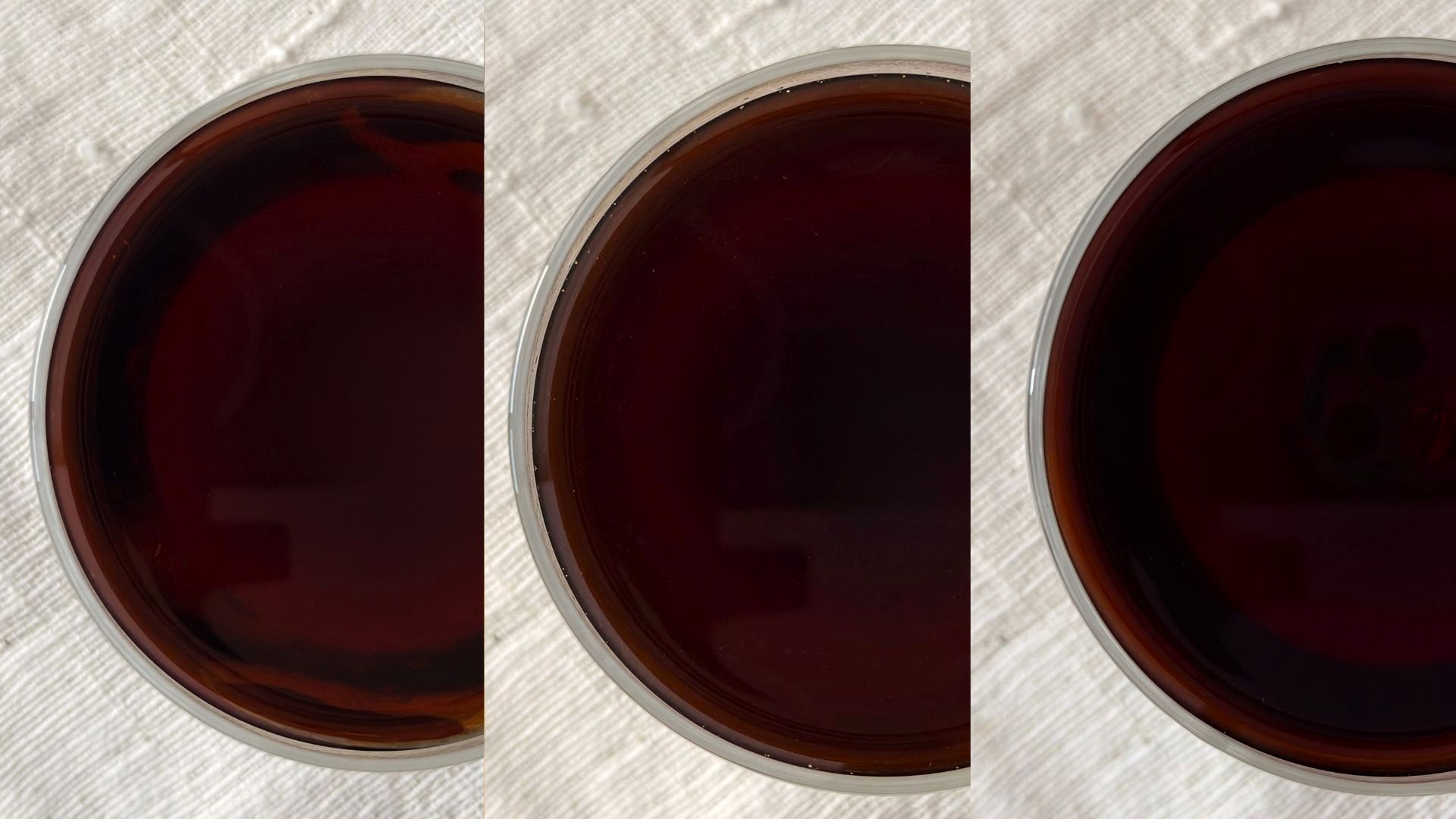 UCCプロが教えるおいしいアイスコーヒーの作り方！水淹れ式と急冷式を3種で飲み比べ | COCO ii TOCO ~ココイイトコ~