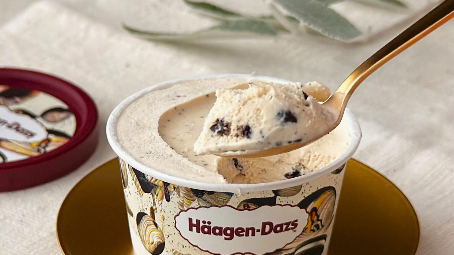 ハーゲンダッツ人気フレーバーTOP5をご紹介！ギフトにもおすすめな種類をシーン別に解説 | COCO ii TOCO ~ココイイトコ~