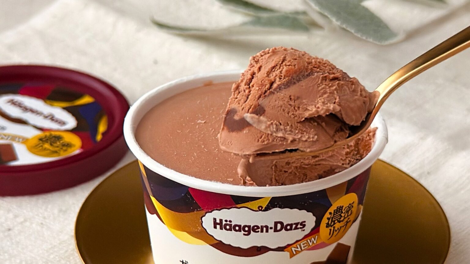 ハーゲンダッツ人気フレーバーTOP5をご紹介！ギフトにもおすすめな種類をシーン別に解説 | COCO ii TOCO ~ココイイトコ~