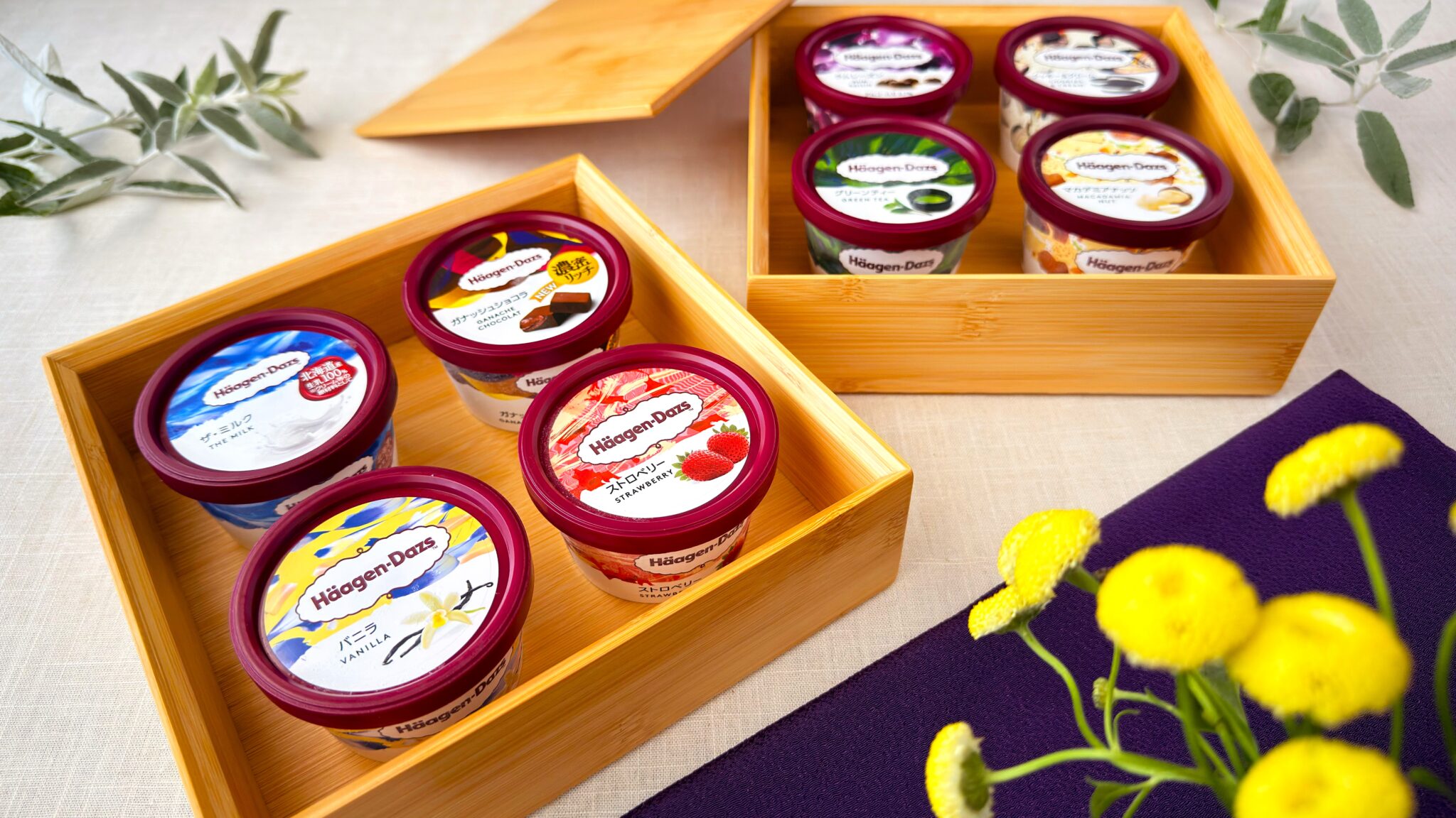 ハーゲンダッツ人気フレーバーTOP5をご紹介！ギフトにもおすすめな種類をシーン別に解説 | COCO ii TOCO ~ココイイトコ~
