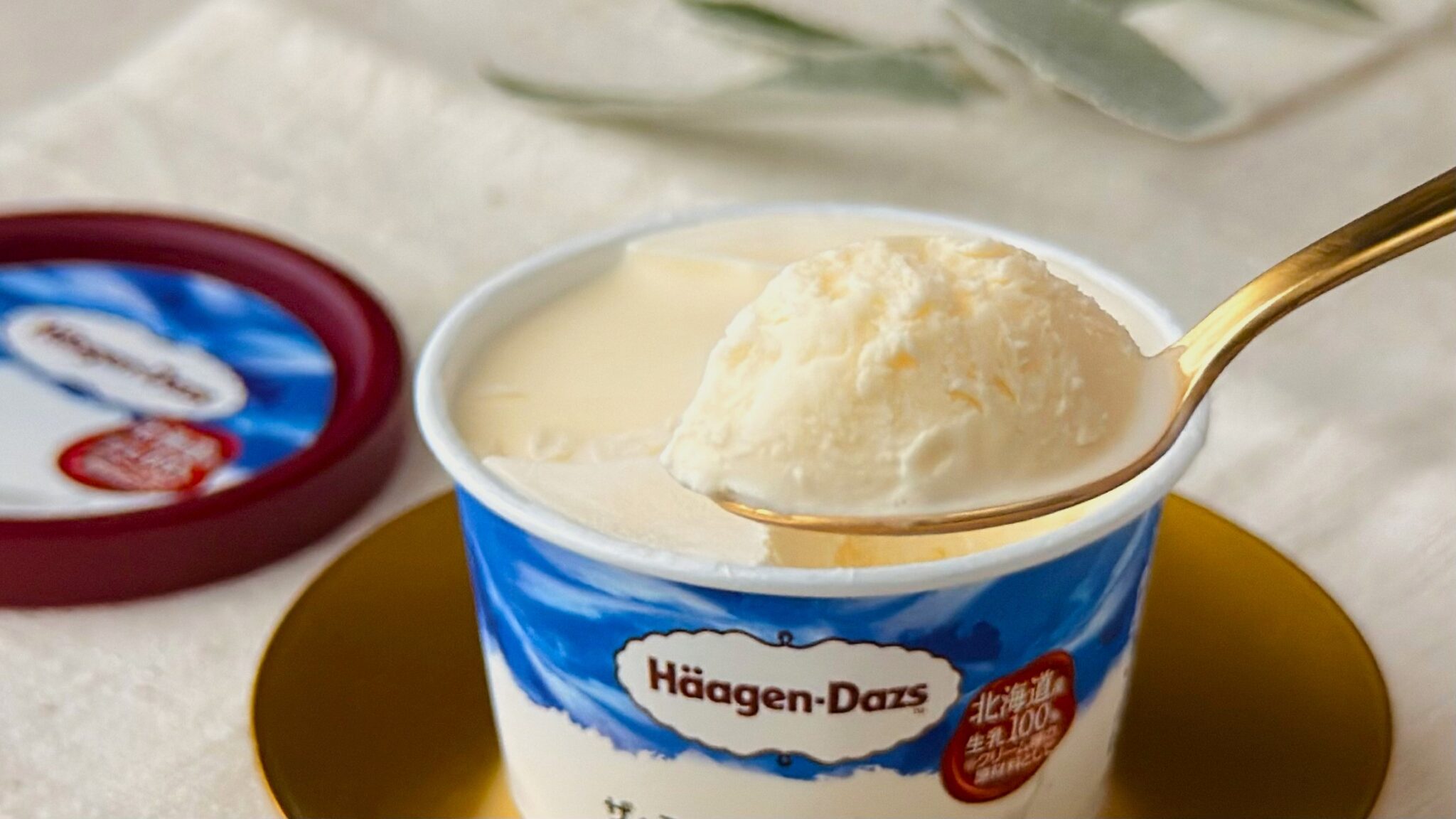 ハーゲンダッツ人気フレーバーTOP5をご紹介！ギフトにもおすすめな種類をシーン別に解説 | COCO ii TOCO ~ココイイトコ~